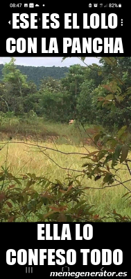 Meme Personalizado - Ese es el lolo con la Pancha Ella lo confeso todo ...