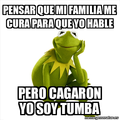 Meme Kermit the frog - Pensar que mi familia me cura para que yo hable ...