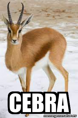 Meme Personalizado - cebra - 32433036
