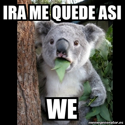 Meme Koala - ira me quede asi we - 32433322