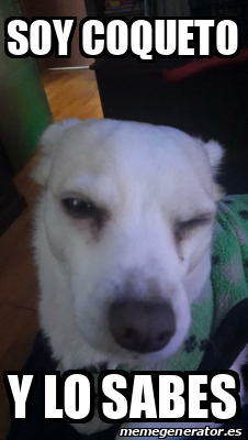 Meme Personalizado - Soy coqueto Y lo sabes - 32444365