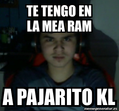Meme Personalizado - TE TENGO EN LA MEA RAM A PAJARITO KL - 32445401