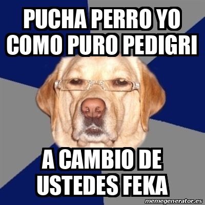 Meme Perro Racista - pucha perro yo como puro pedigri a cambio de ...
