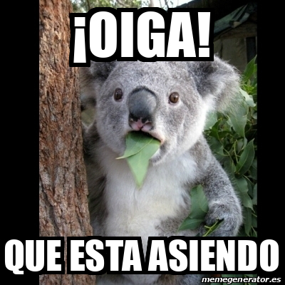 Meme Koala - ¡OIGA! QUE ESTA ASIENDO - 32454345