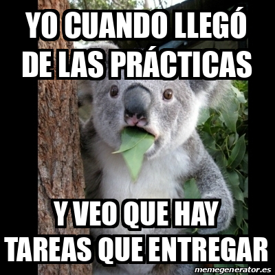 Meme Koala - yo cuando llegó de las prácticas y veo que hay tareas que ...