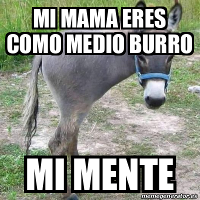 Meme Personalizado - Mi mama eres como medio burro Mi mente - 32458069