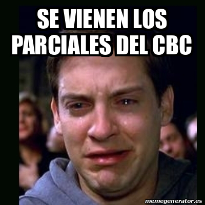 Meme crying peter parker - SE VIENEN LOS PARCIALES DEL CBC - 32461900