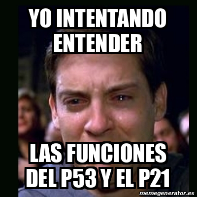 Meme crying peter parker - yO INTENTANDO ENTENDER LAS FUNCIONES DEL P53 ...