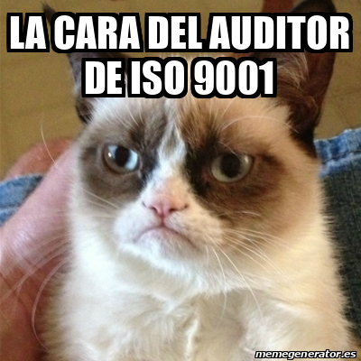 Meme Grumpy Cat - La cara del auditor de iso 9001 - 32467911