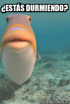 Meme Personalizado - ¿Estás durmiendo? - 32470249