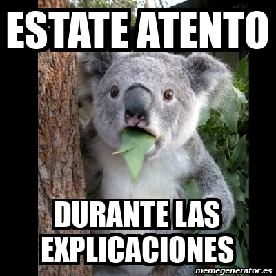 Meme Koala - estate atento durante las explicaciones - 32475116
