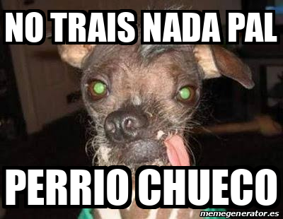 Meme Personalizado - No trais nada pal Perrio Chueco - 32475309