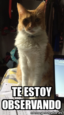 Meme Personalizado - Te estoy observando - 32478297