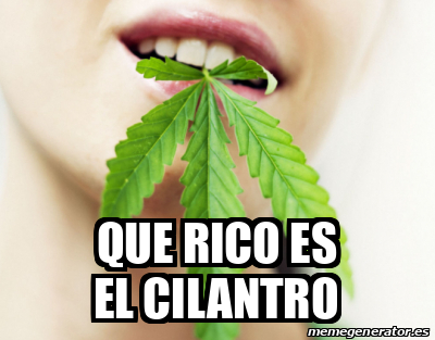 Meme Personalizado - que rico es el cilantro - 32483076