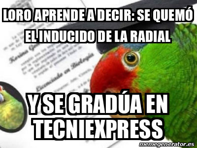 Meme Personalizado - Loro aprende a decir: se quemó el inducido de la ...