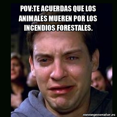 Meme crying peter parker - Pov:te acuerdas que los animales mueren por los incendios forestales ...