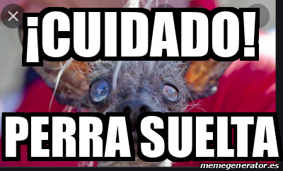 Meme Personalizado - ¡CUIDADO! PERRA SUELTA - 32489044