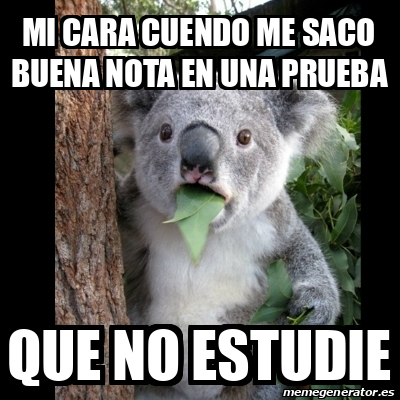 Meme Koala - mi cara cuendo me saco buena nota en una prueba que no ...