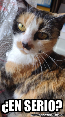 Meme Personalizado - ¿En serio? - 32495953