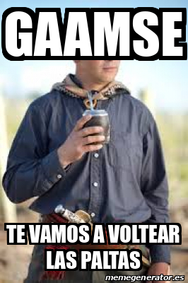 Meme Personalizado - GaamsE Te vamos a voltear las paltas - 32496240