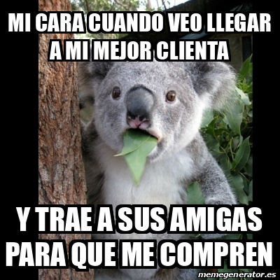 Meme Koala - MI CARA CUANDO VEO LLEGAR A MI MEJOR CLIENTA Y TRAE A SUS ...