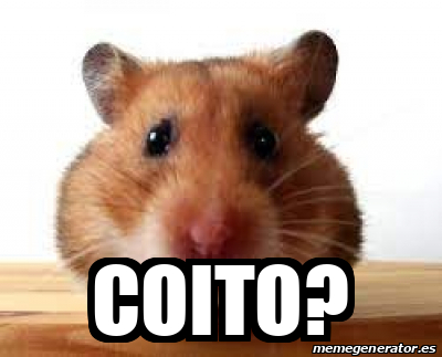 Meme Personalizado - COITO? - 32498803