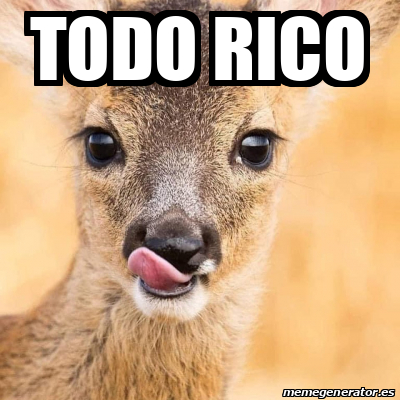 Meme Personalizado - todo rico - 32499375