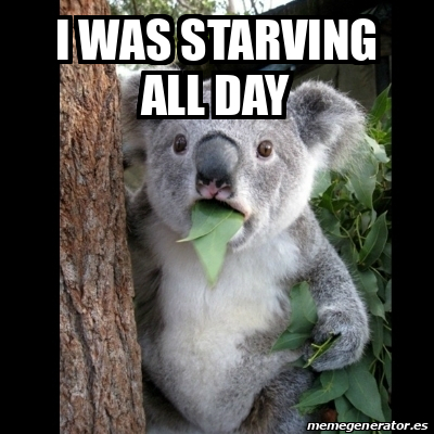 Meme Koala - i was starving all day - 32499996