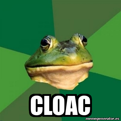 Meme Foul Bachelor Frog - Cloac - 32051129