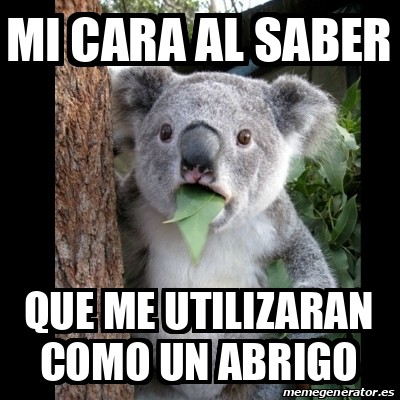Meme Koala - Mi cara al saber que me utilizaran como un abrigo - 32052792