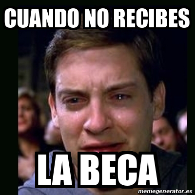 Meme crying peter parker - Cuando no recibes La beca - 32053851