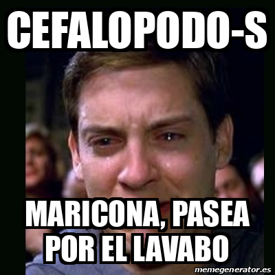 Meme crying peter parker - cefalopodo-s maricona, pasea por el lavabo ...