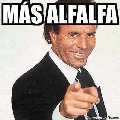 Meme Julio Iglesias - más alfalfa - 32057429