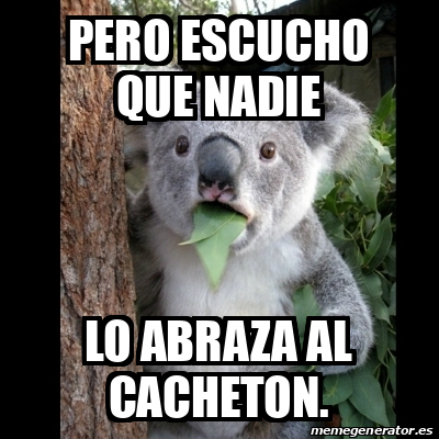 Meme Koala - Pero escucho que nadie lo abraza al cacheton. - 32058067