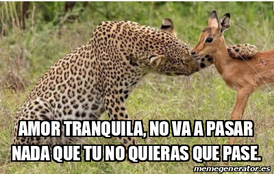 Meme Personalizado - Amor tranquila, no va a pasar nada que tu no ...