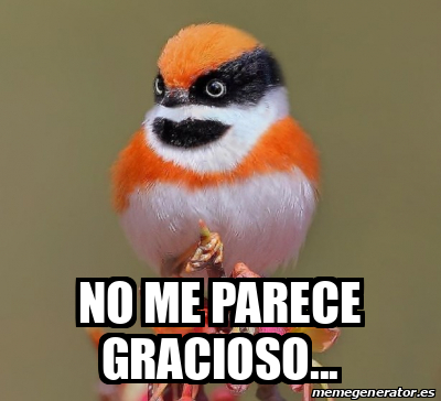 Meme Personalizado - no me parece gracioso... - 32507135