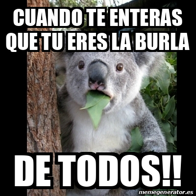 Meme Koala - Cuando te enteras que tu eres la burla De todos!! - 32509646
