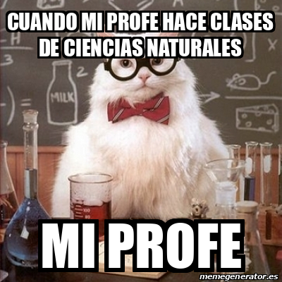 Meme Chemistry Cat - cuando mi profe hace clases de ciencias naturales ...