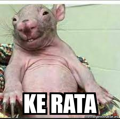 Meme Personalizado - KE RATA - 32516111