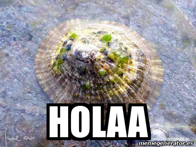 Meme Personalizado - Holaa - 32520290