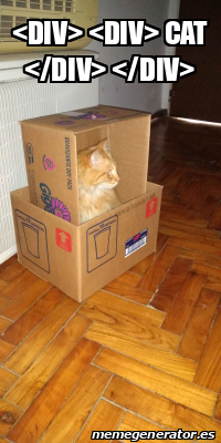 Meme Personalizado - cat - 32531871