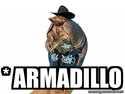 Meme Personalizado - * armadillo - 32532714