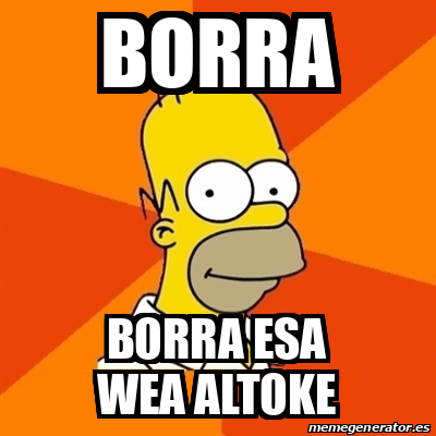Meme Homer - Borra Borra esa wea altoke - 32533853