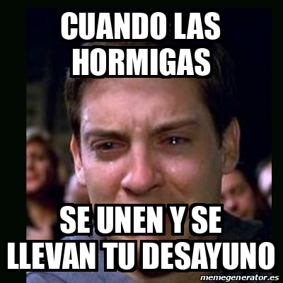 Meme crying peter parker - cuando las hormigas se unen y se llevan tu ...