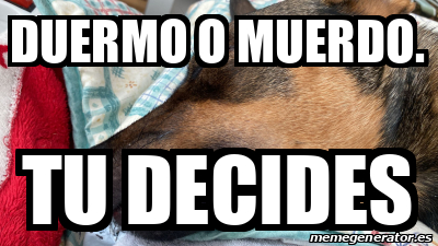 Meme Personalizado - Duermo o muerdo. Tu decides - 32540154