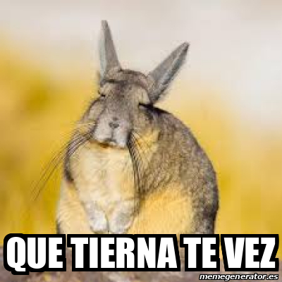 Meme Personalizado - Que tierna te vez - 32544690