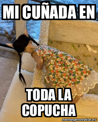 Meme Personalizado - Mi cuñada en Toda la copucha - 32544722