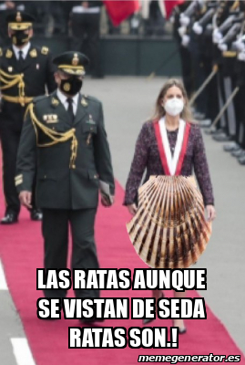 Meme Personalizado - LAS RATAS AUNQUE SE VISTAN DE SEDA RATAS SON ...