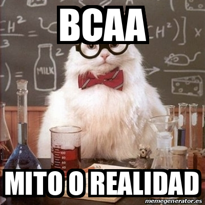 Meme Chemistry Cat - BCAA Mito o realidad - 32549821