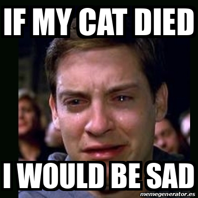 Meme crying peter parker - If my cat died i would be sad - 32554078